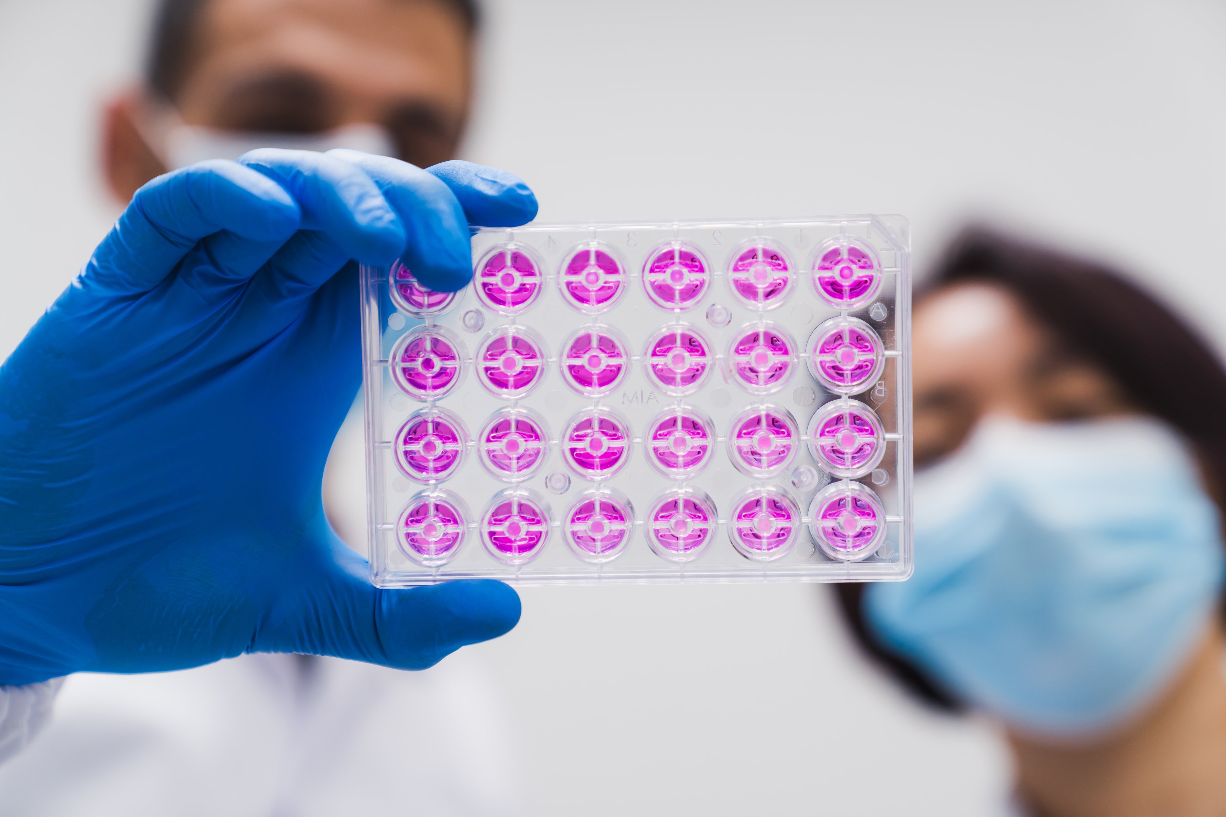 Scaling-up Organ-on-chip Assays for drug discovery with AIM Biotech 3D ...