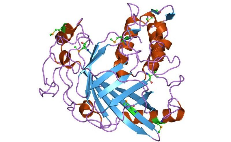 Automate Luciferase Reporter Assays with Opentrons OT-2 Robot